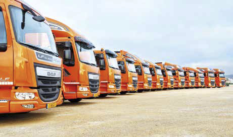 daf1 - Export and Freight